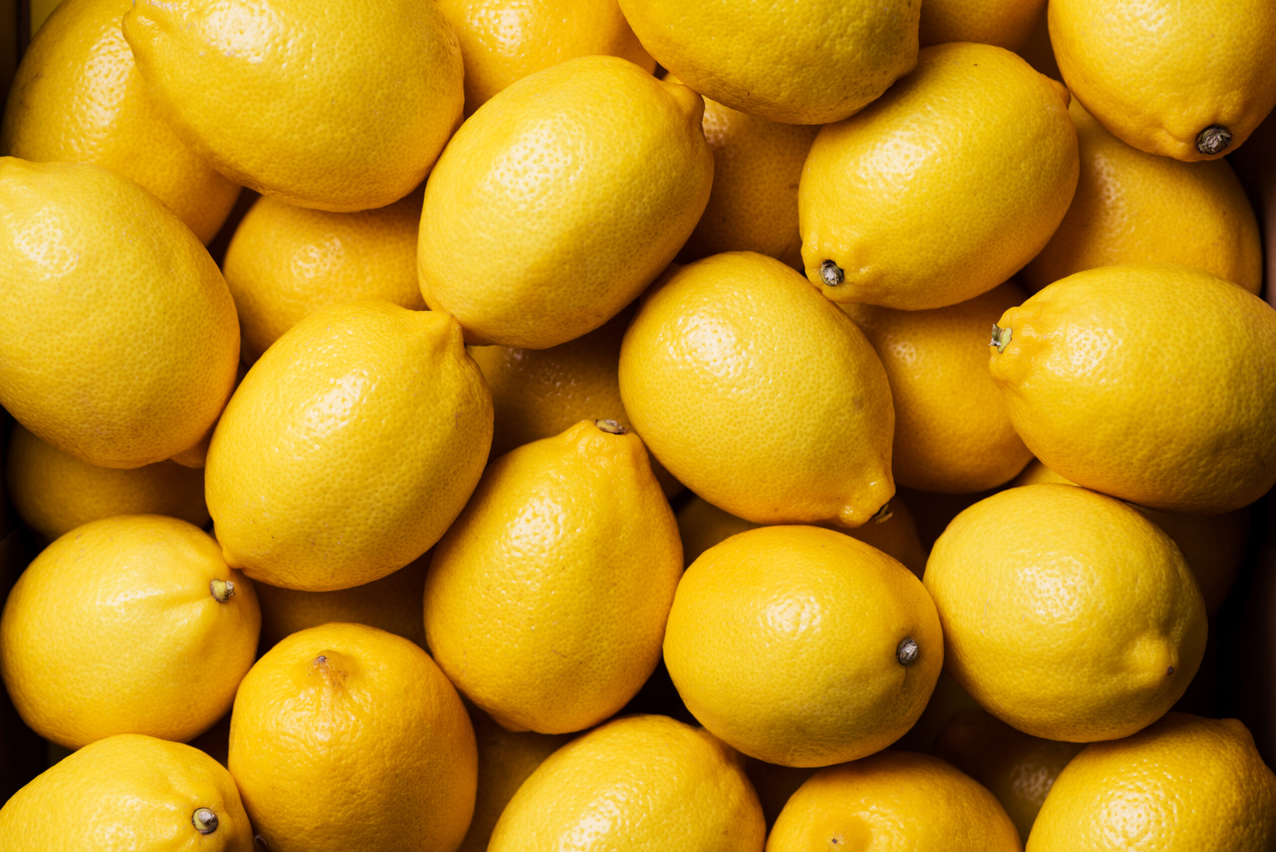 Limoni di Sicilia 10 Kg - Orlando Azienda Agricola